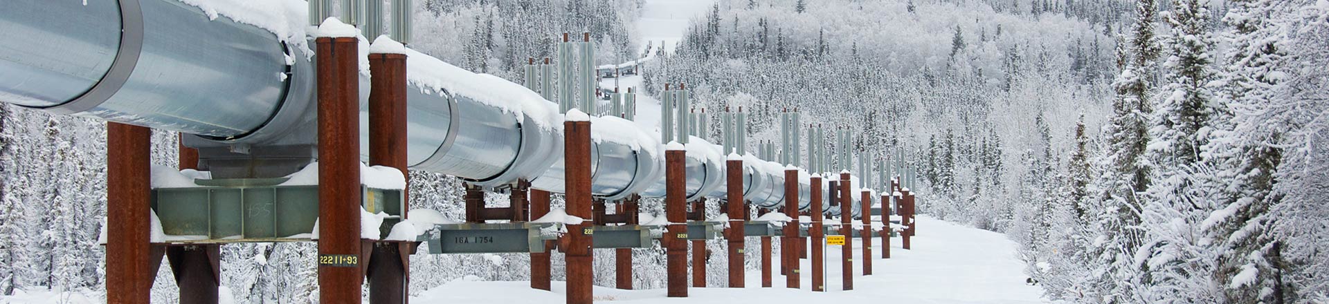 Lineriders | Pipeline Services